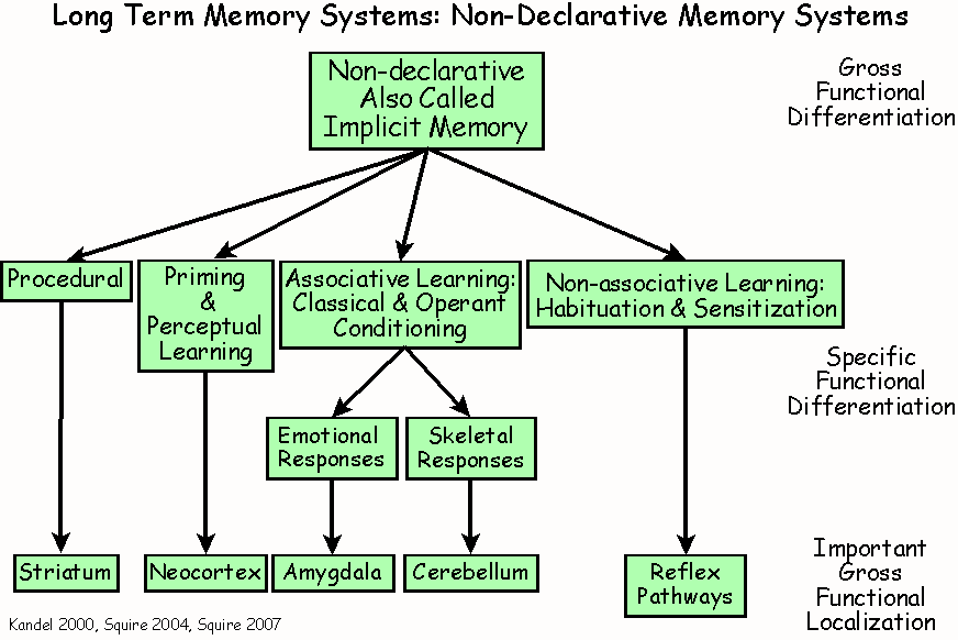 Declarative Memory Chart